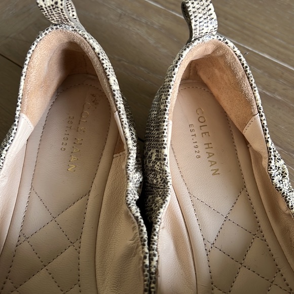 Cole Haan | Shoes | Cole Haan Grand Os Snakeskin Python Ballet Loafer ...
